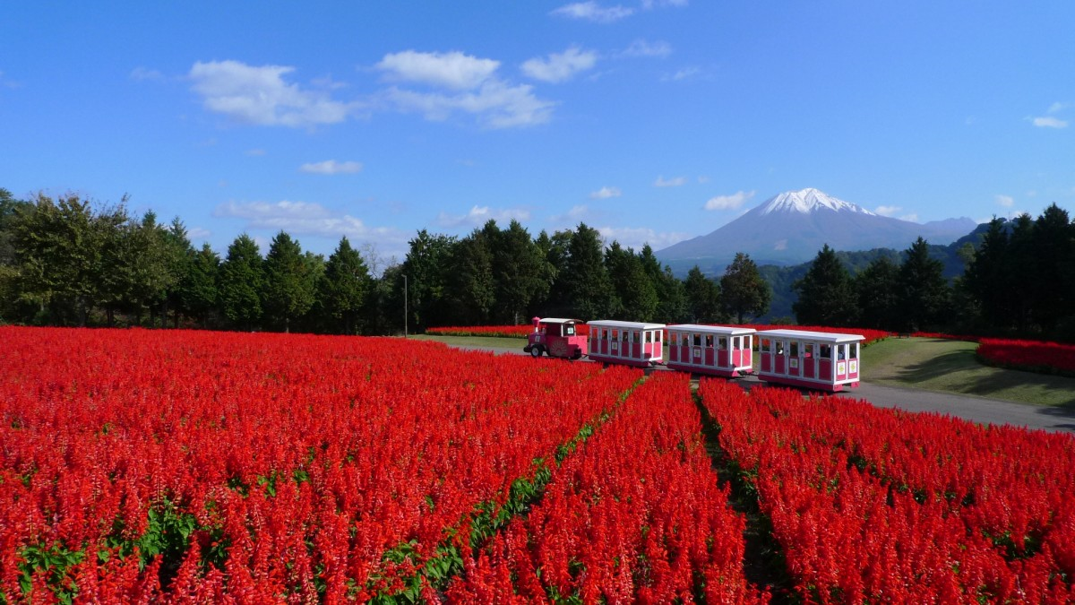 Tottori Tourism Guide
