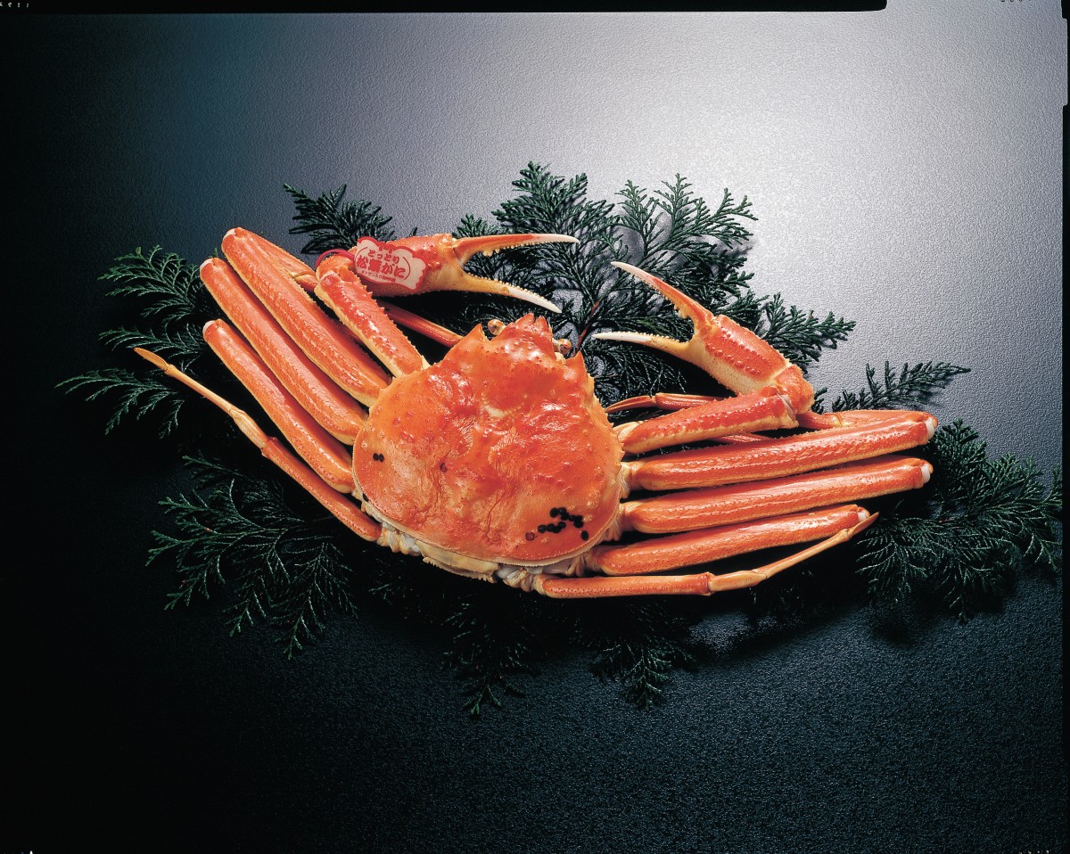 Food | Tottori Tourism Guide