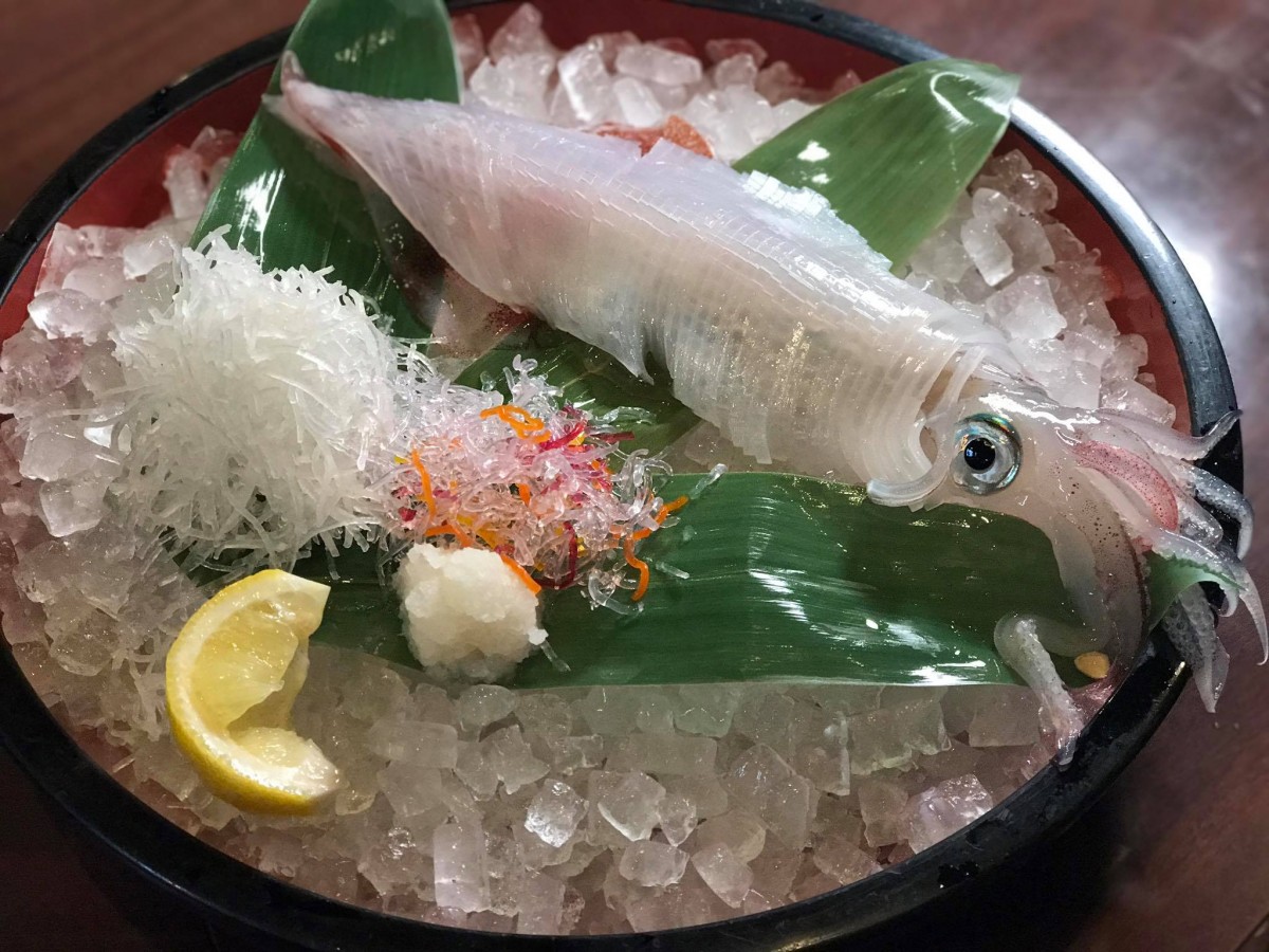 Tottori Tourism Guide