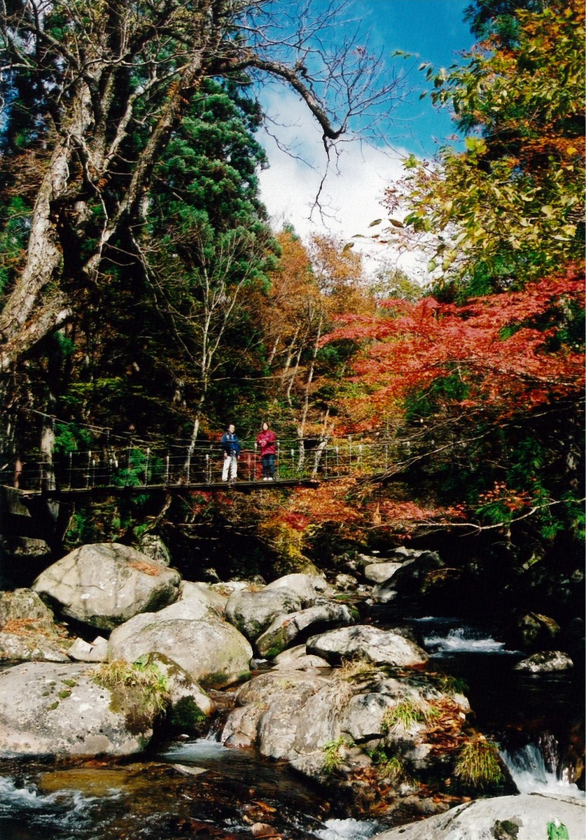 Tottori Tourism Guide