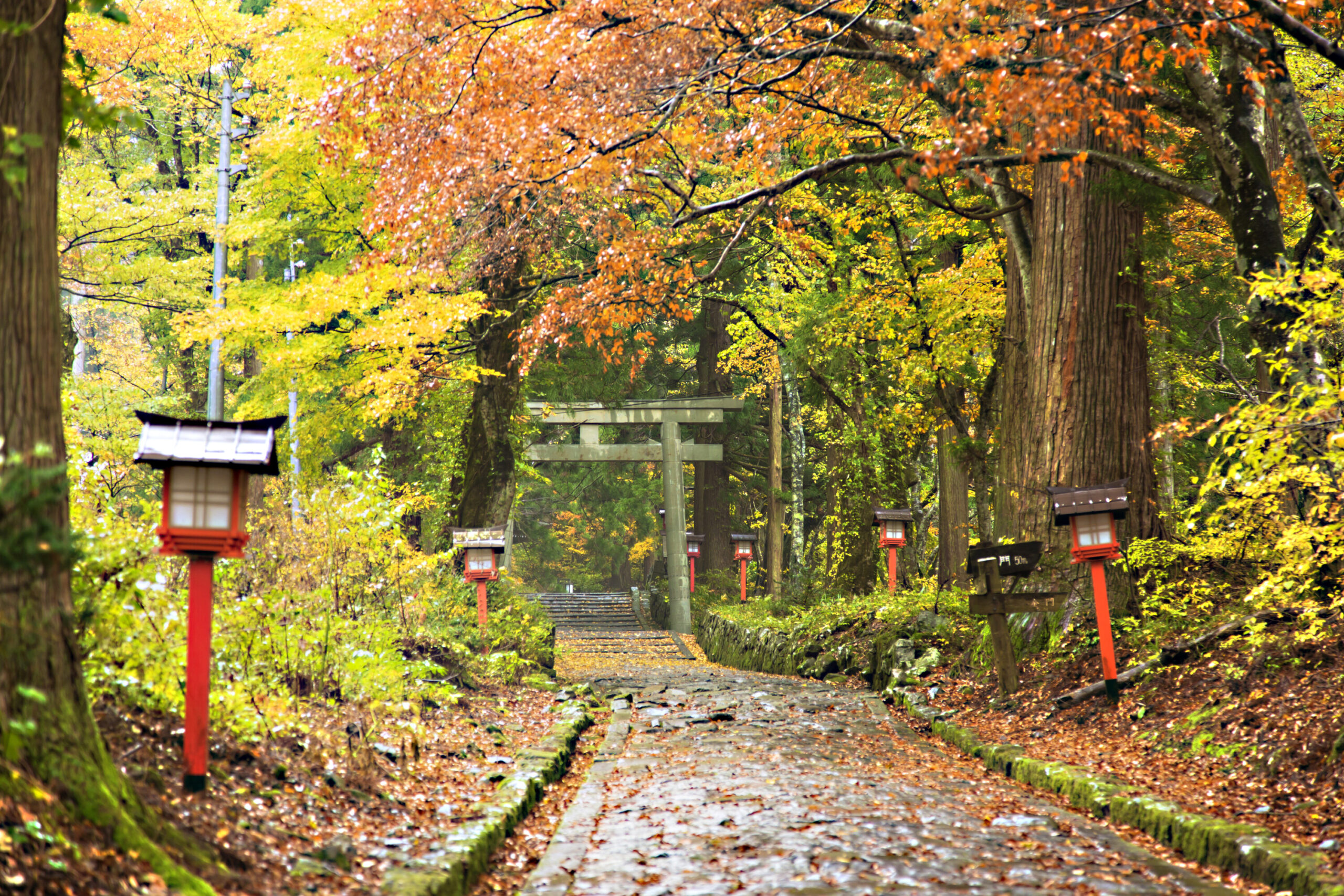 Tottori Tourism Guide