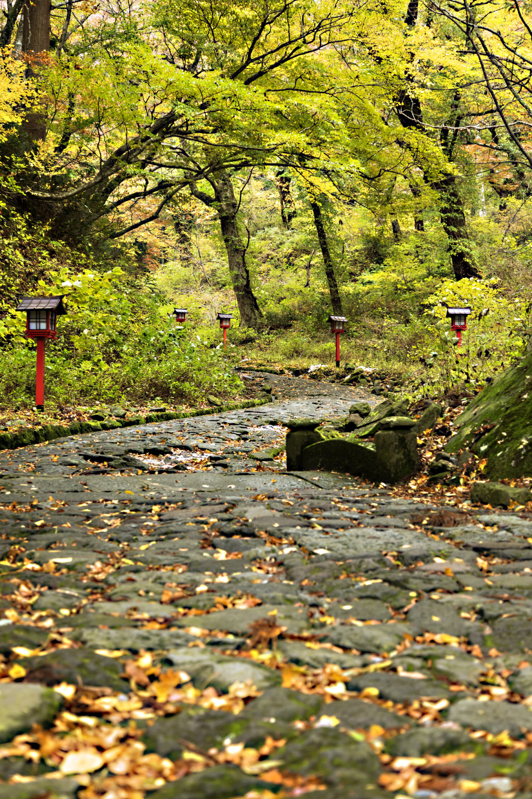 Tottori Tourism Guide