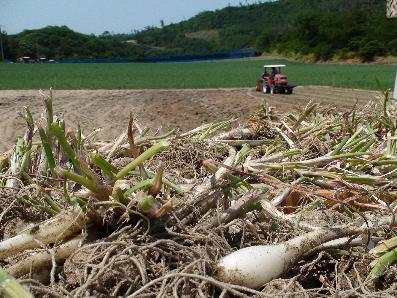 Tottori Tourism Guide