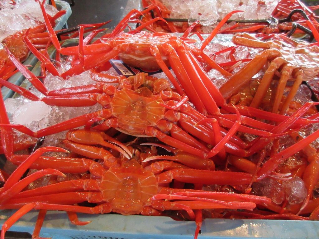 Food | Tottori Tourism Guide