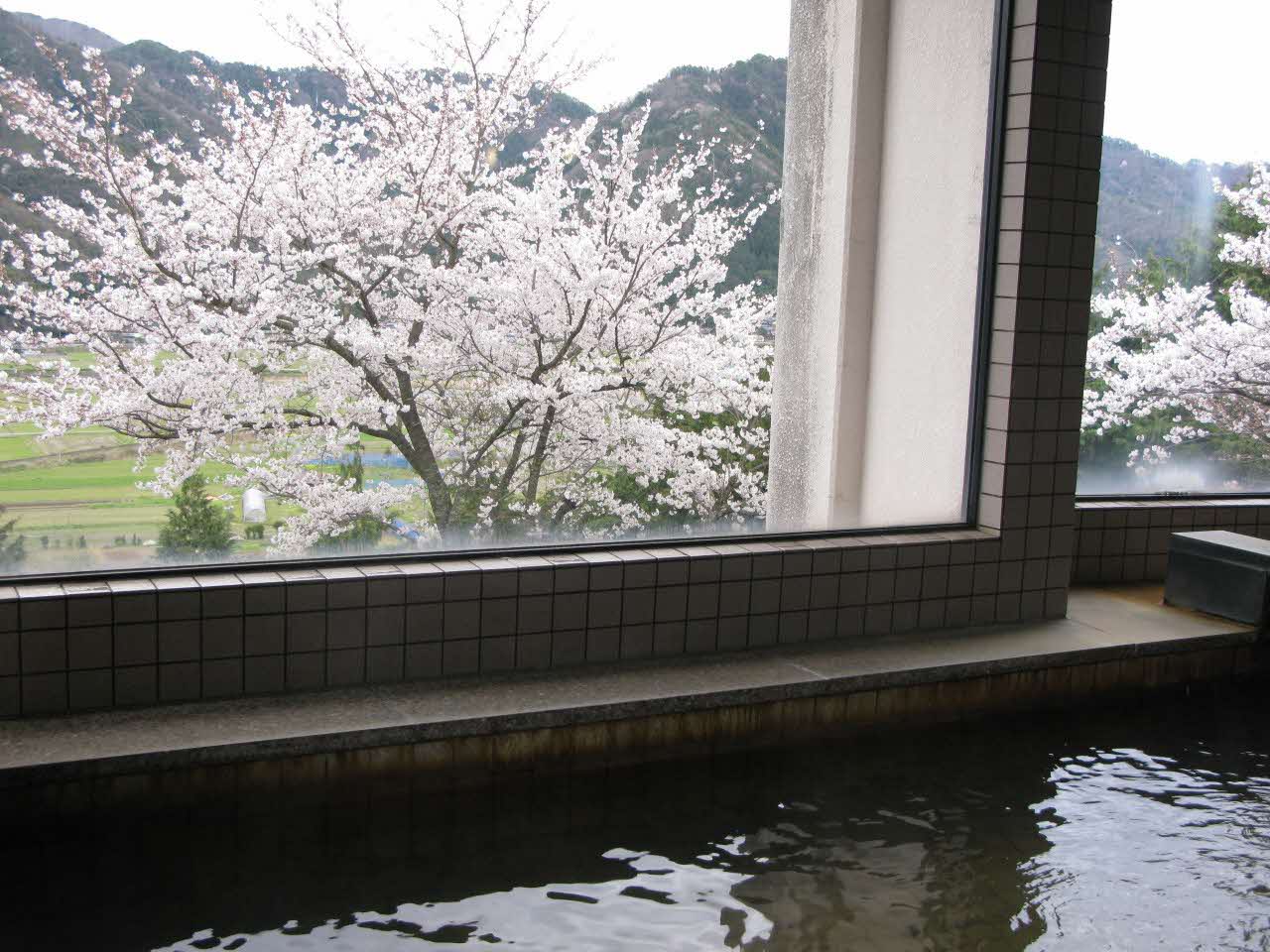 Tottori Tourism Guide