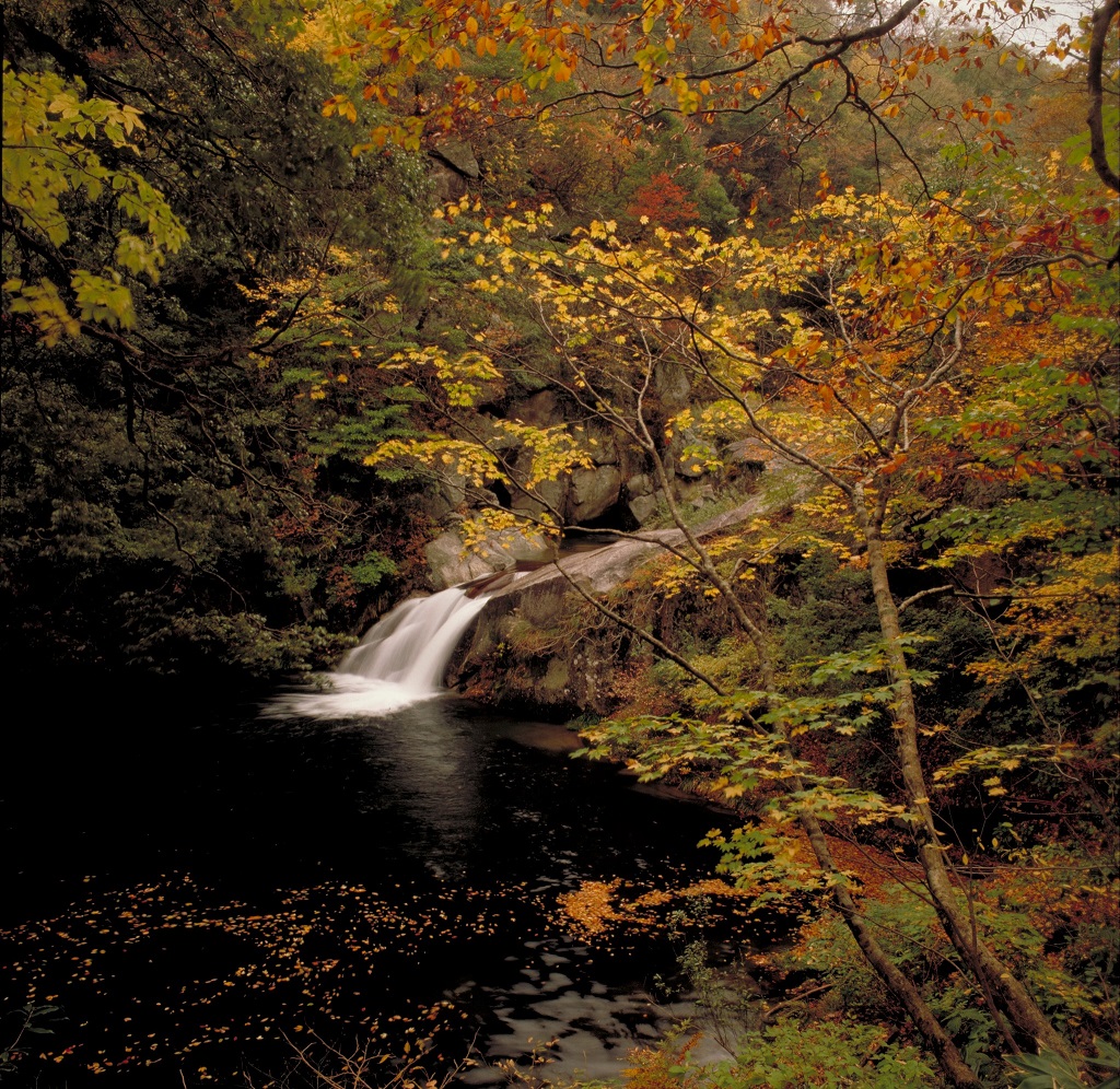 Oshika Gorge | Tottori Tourism Guide